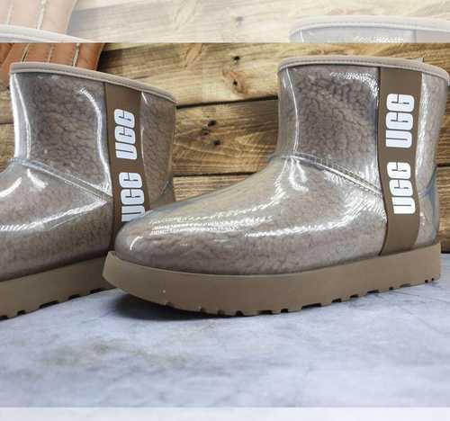 Ugg прозрачные