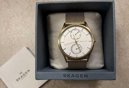 Мужские наручные часы Skagen