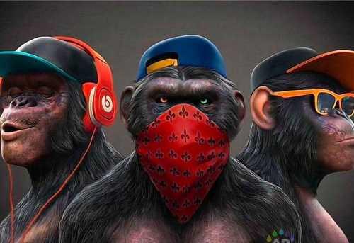 Интерьерная картина "3 обезьяны" 40х60 см