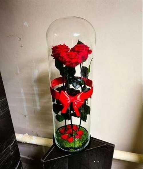 Красные розы в колбе 60 см. Подарок 8 марта