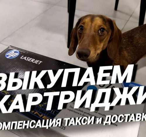 Скупка/продажа картридж HP CF412A