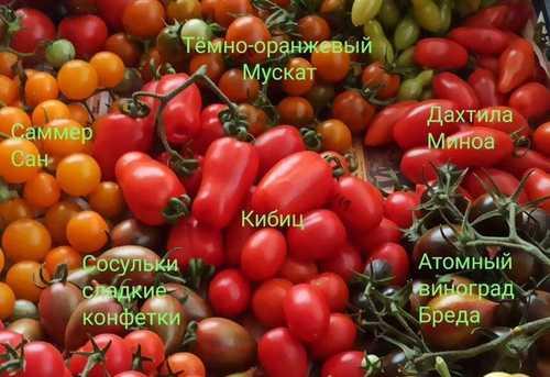 Семена томатов черри и горшечные