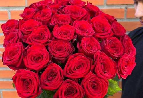 Статные высокие бордовые розы с доставкой от 15шт