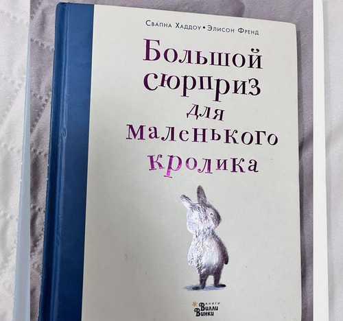 Большой сюрприз для маленького кролика книга