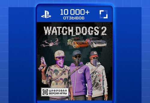 Watch Dogs2 - Fully Decked Out Bundle (PS4)