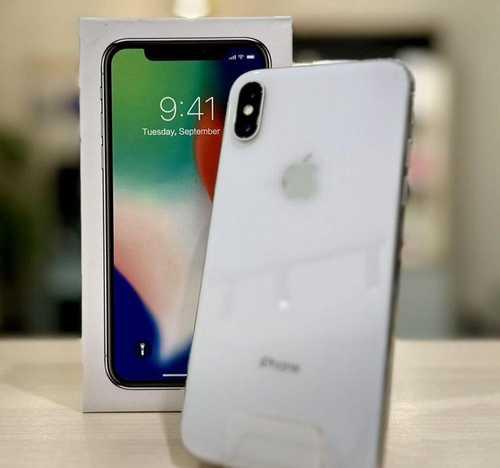 iPhone X, 256 ГБ