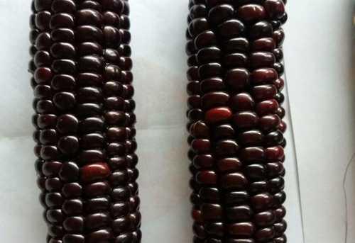 Цветная,черная кукуруза семена с беспл. доставкой