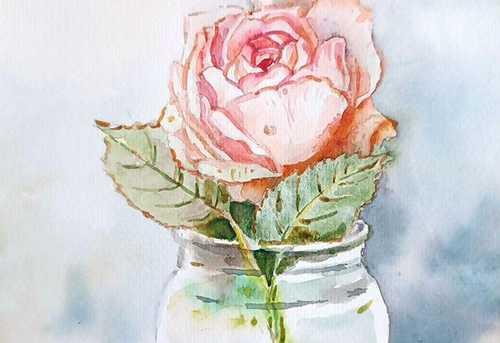 Картина розы "Утренняя роза"