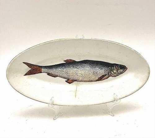 Тарелка для рыбных блюд