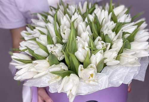 Крупные тюльпаны, букет тюльпанов, белые тюльпаны