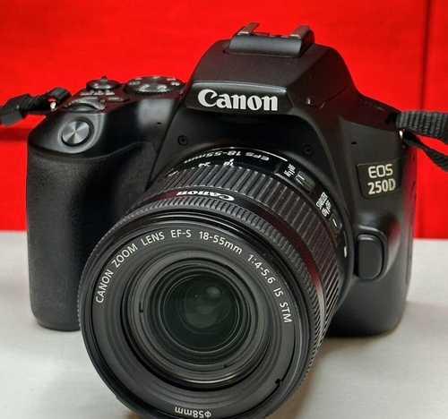 Canon EOS 250D   Canon 18-55mm (kit)