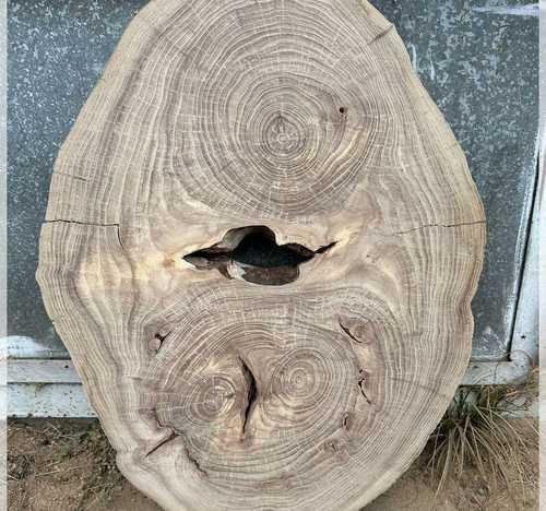 Сухой спил карагача