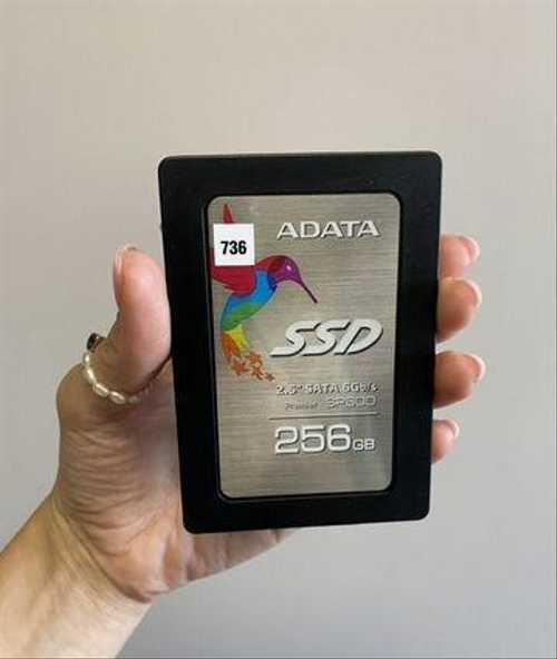 SSD диск adata SP600 256 Gb