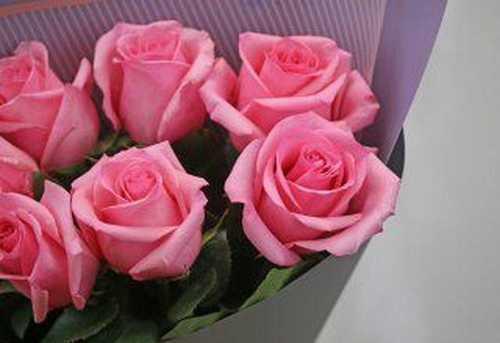 Букет из 7 розовых роз premium 40-50 см (Эквадор)