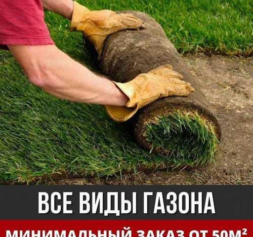 Продажа рулонного газона под ключ