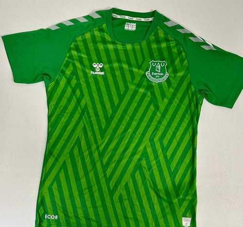 Спортивная футболка Hummel FC Everton M