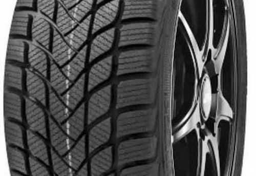 Delinte Winter WD6 195/45 R16