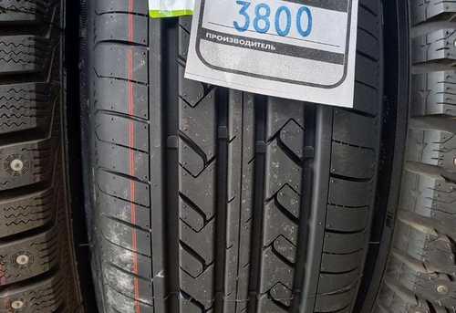 Rapid P309 195/65 R15