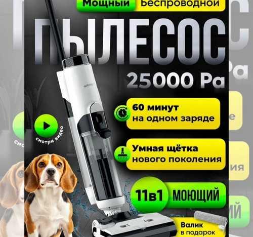 Моющий пылесос