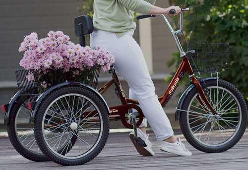 Трехколесный велосипед-вездеход для пригорода