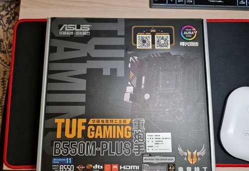 Asus Tuf Gaming B550M Plus и TP Link TX55E