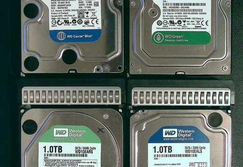 Жёсткий диск HDD WD10ealx 1Тб