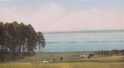 Старинная открытка «Лифляндия. Озеро Вагула»