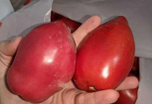 Семена томат бычье сердце