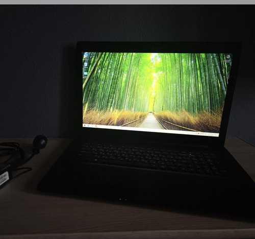 17.3" Lenovo IdeaPad G70-35, A6, RAM 4 ГБ, 1250 ГБ, Radeon R5 M330