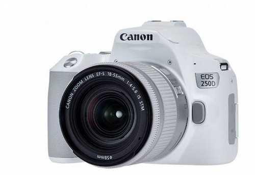 Зеркальный фотоаппарат Canon EOS 250D Kit EF-S 18