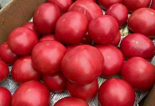 Собственные семена помидора Василина