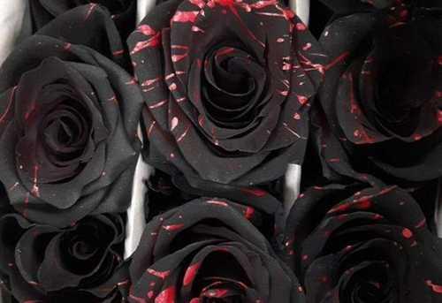 Цветные Розы Эквадор букет
