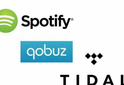 Подписка Qobuz, Tidal, Spotify, Deezer пожизненно