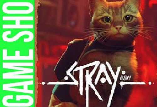 Ключ Stray на Xbox ONE seriesS/X