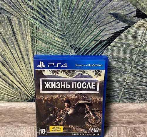 Жизнь после ps4