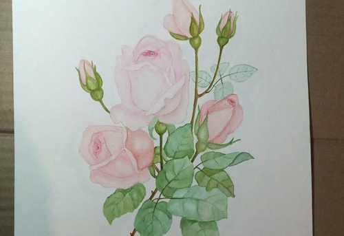 Картина акварелью цветы Розы