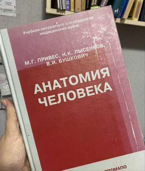 Учебник по анатомии Привес