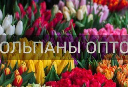 Тюльпаны оптом для любимых на 8 марта