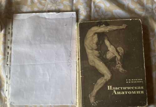 Пластическая анатомия Г. М. Павлов, В. Н. Павлова