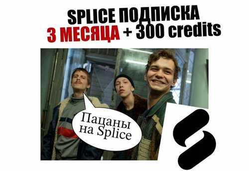 Splice Sound + сэмплы / звуки / подписка