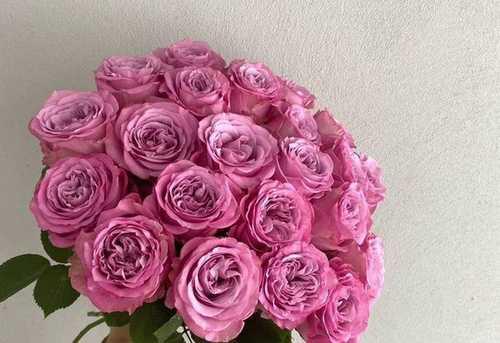 Розы Эквадор, пионовидные розы, букет роз