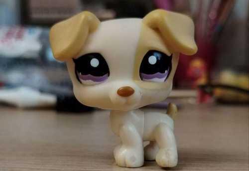 Littlest Pet Shop