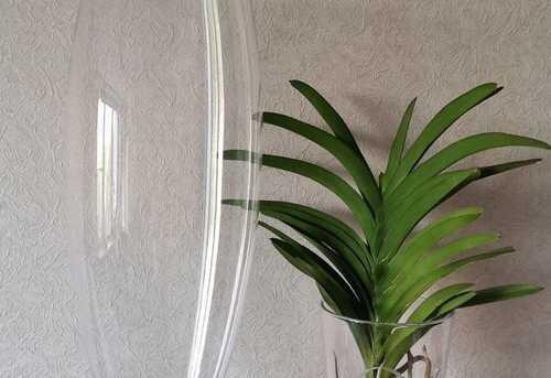 Большая ваза для орхидеи ванда, напольная ваза