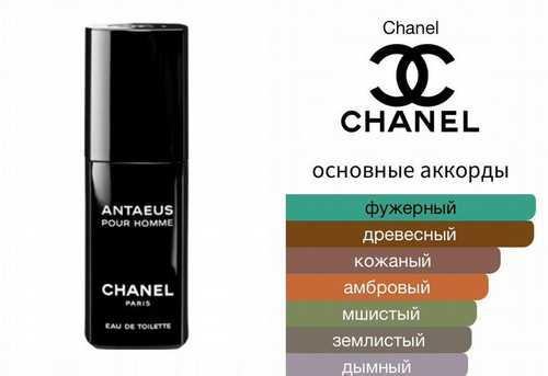 Распив Antaeus Chanel, 1 мл