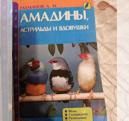 Книга, уход за птицами