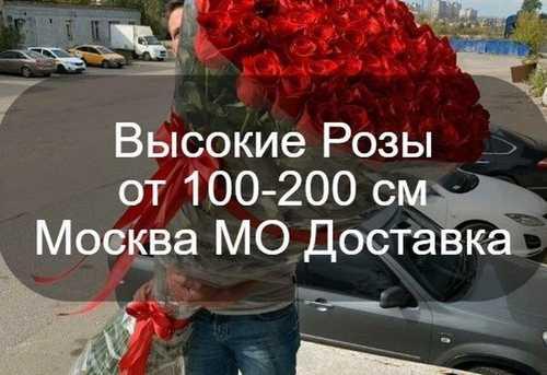Розы Цветы Большие Метровые Москва
