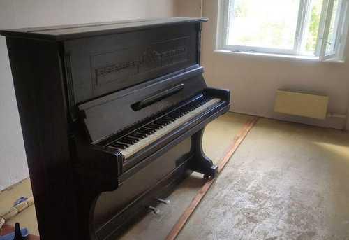Пианино Украина Чернигов (6291 номер)