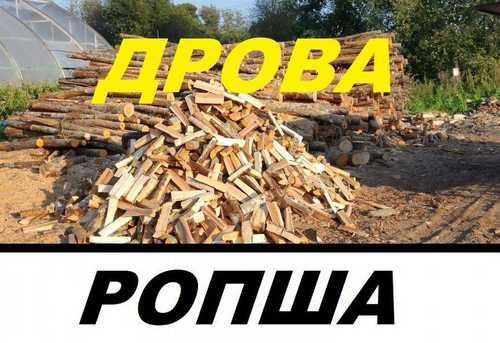 Дрова посёлок Ропша