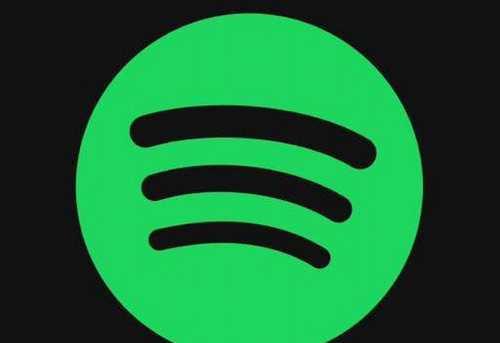 Подписка Spotify Premium 12 месяцев