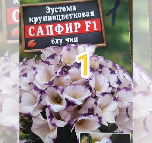 Эустома рассада